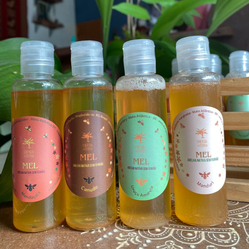 Kit Gormet - Abelha sem Ferrao 80g - Energia da Terra